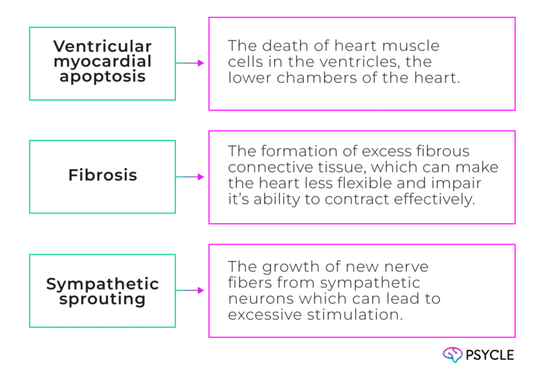 The Full Guide To Ketamine S Side Effects Psycle Health
