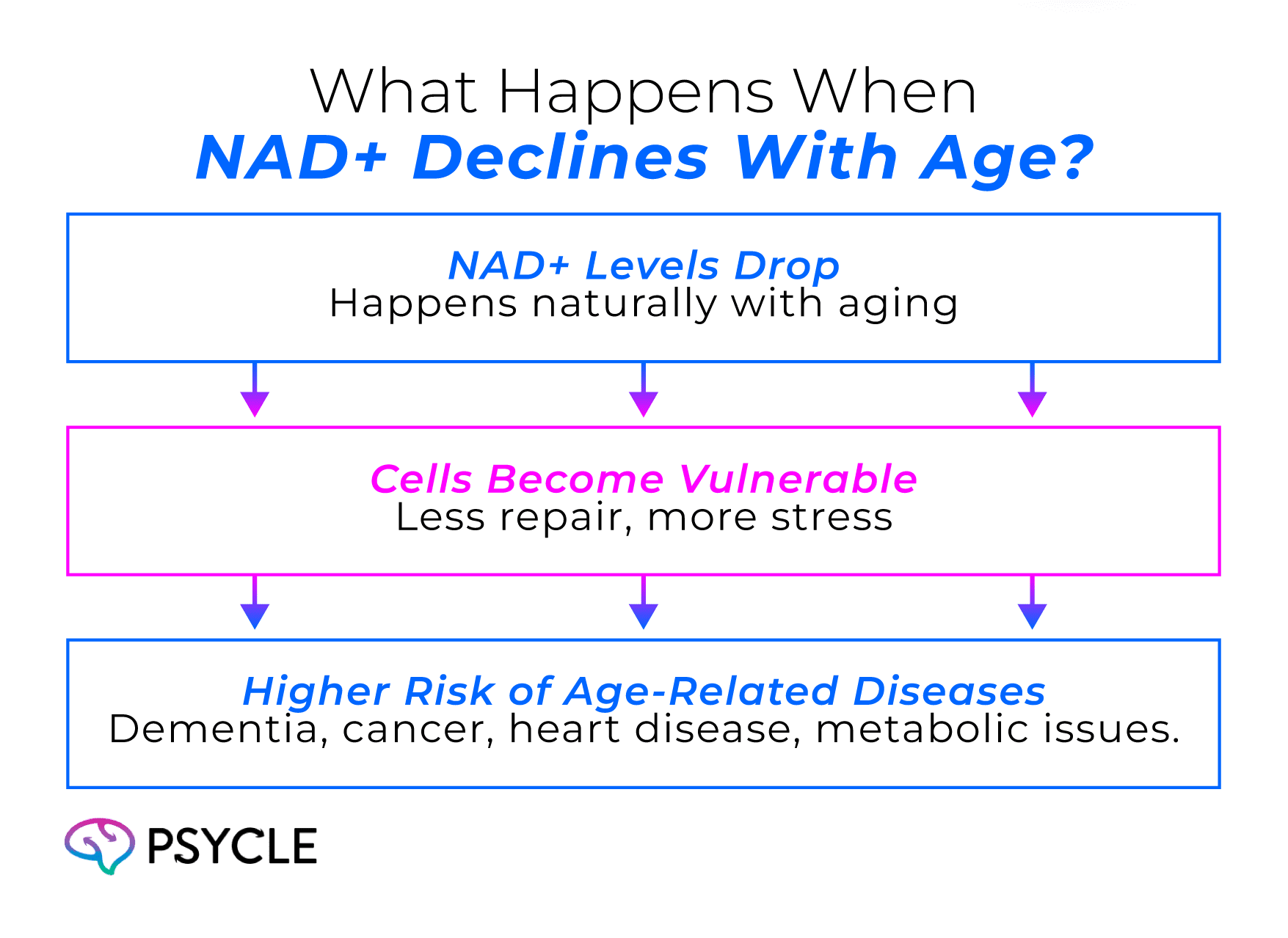 Do NAD Patches Work? | Psycle Health