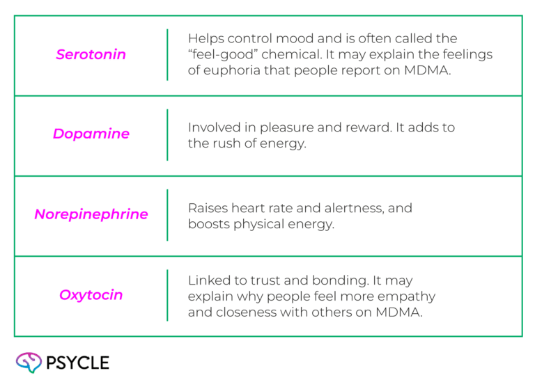 MDMA vs Molly: What You Need to Know | Psycle Health